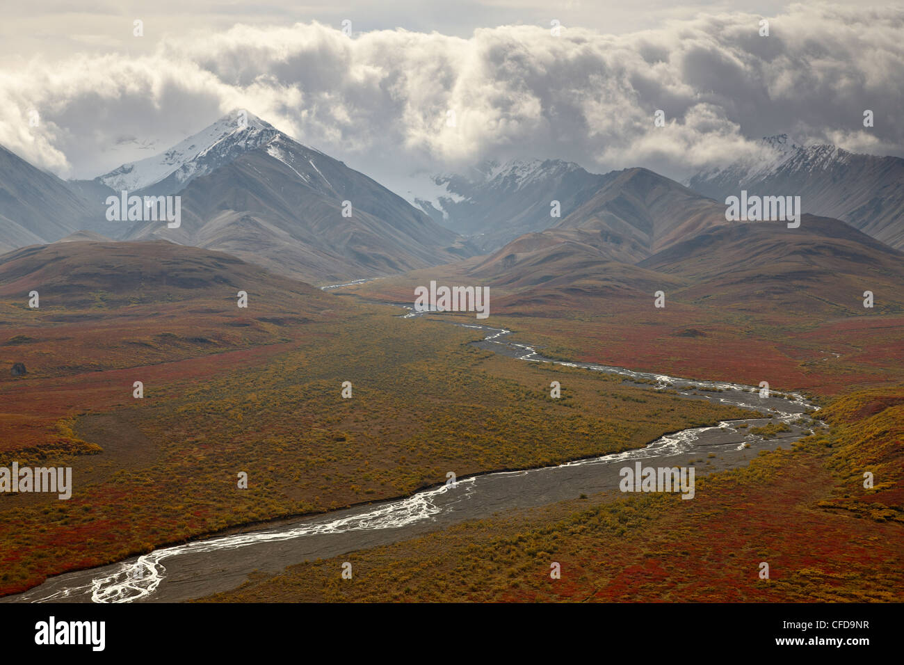 Mountains and a stream through the tundra in fall color, Denali ...