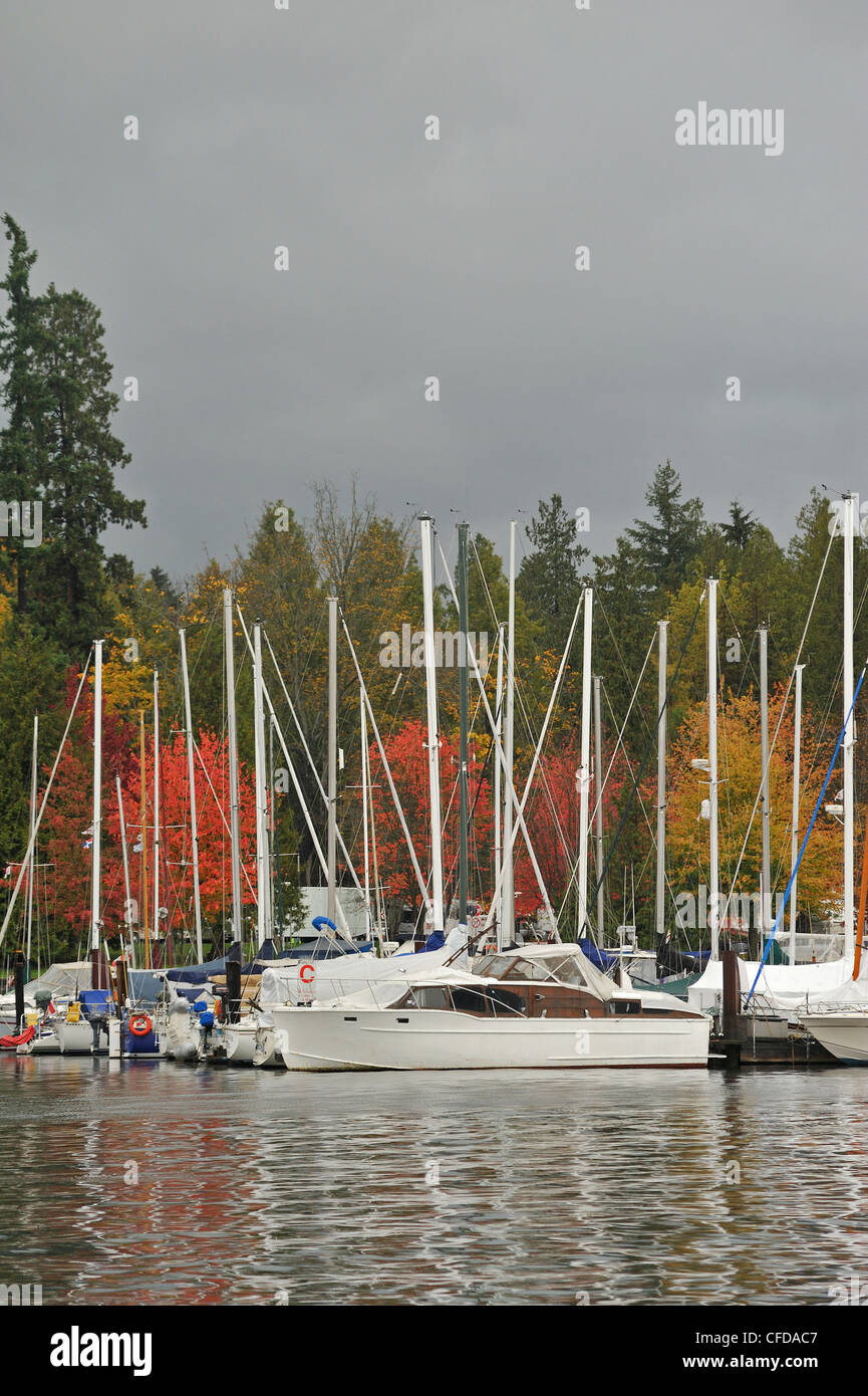 Vancouver rowing club marina hi-res stock photography and images - Alamy