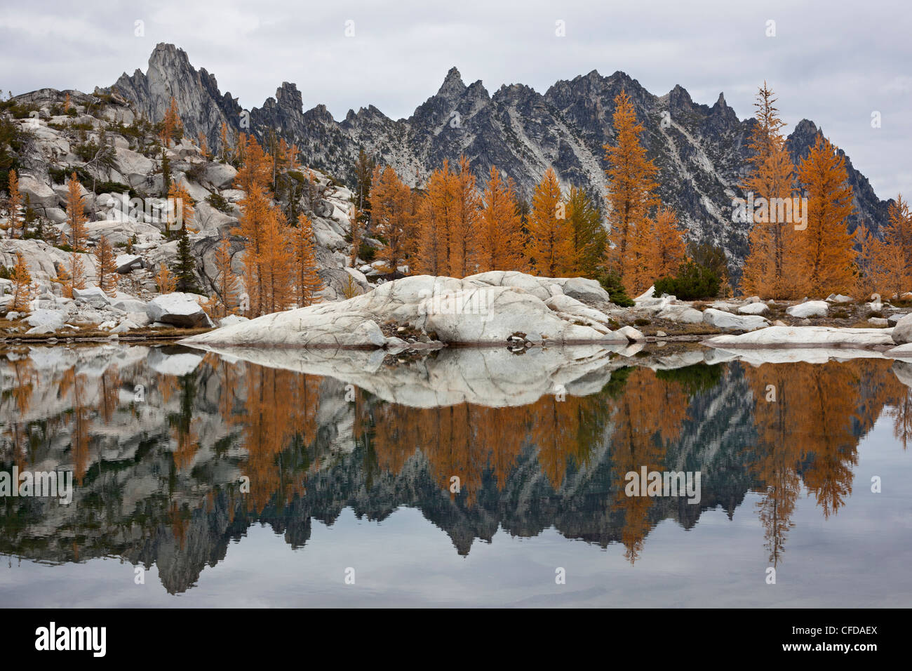 Golden Larches and Prusik Peak Reflected in Troll Sink Tarn, Upper ...