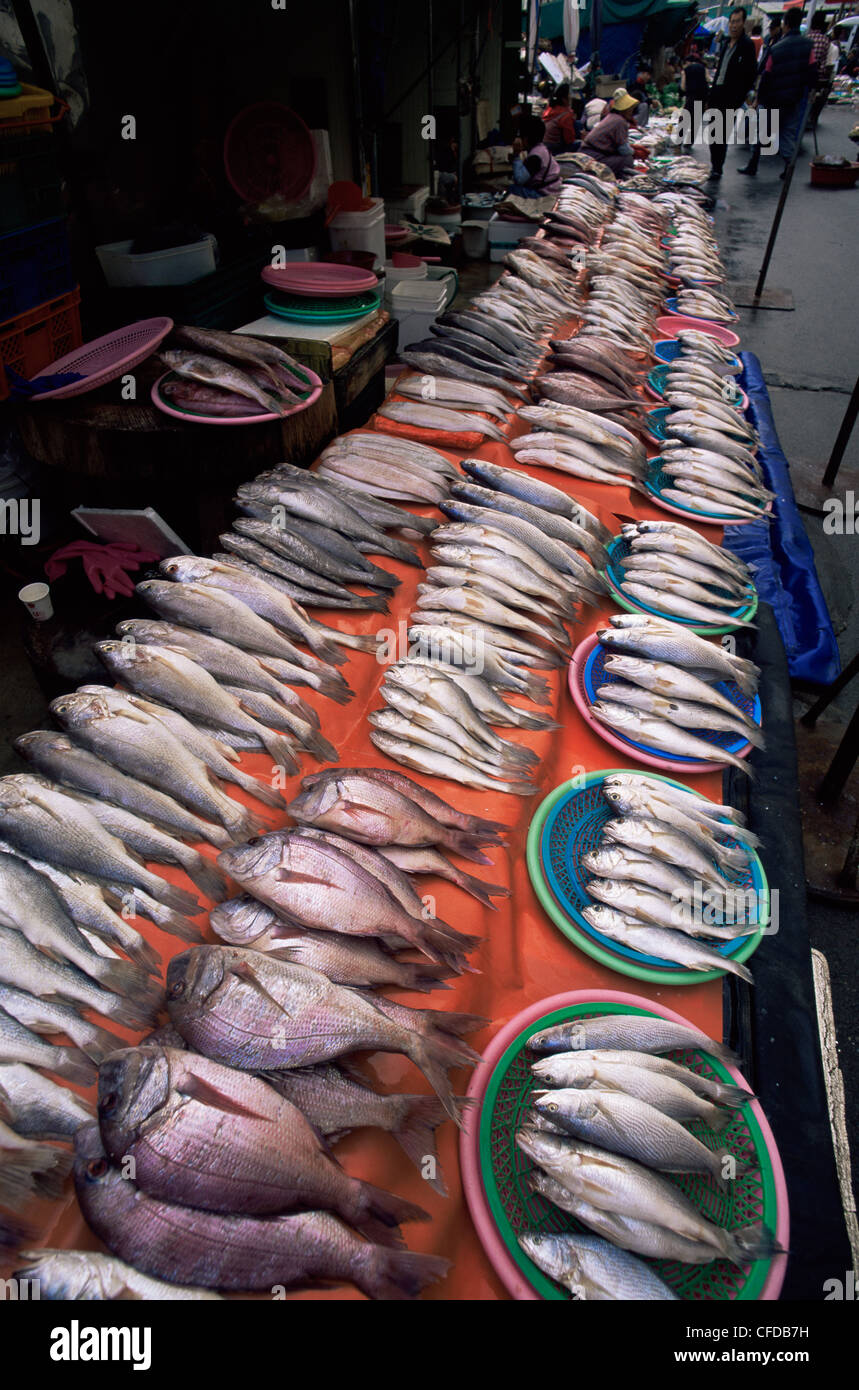 Korea, Busan, Jagalchi Market, Fresh Fish Display Stock Photo - Alamy