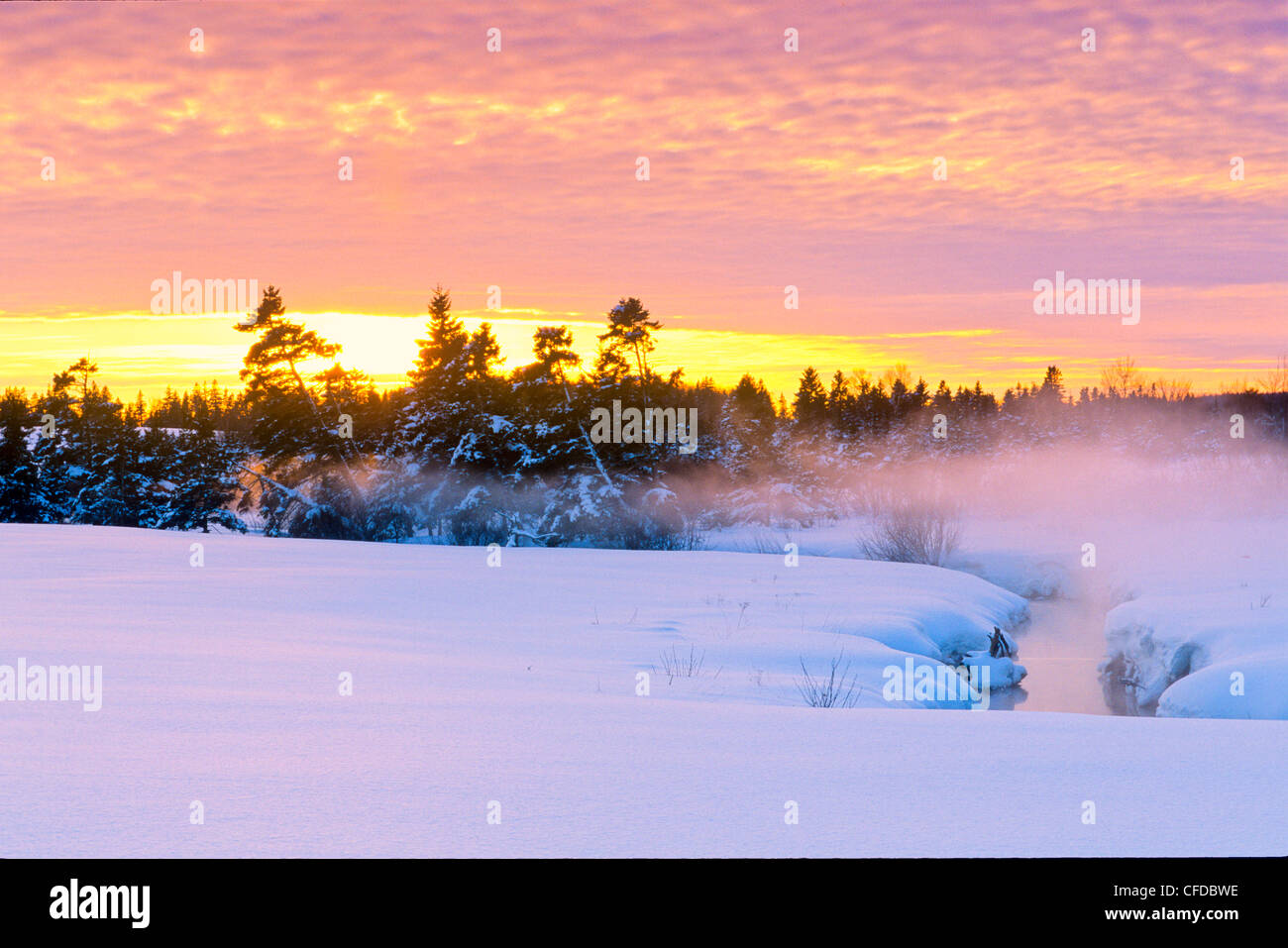 P harrington hi-res stock photography and images - Alamy
