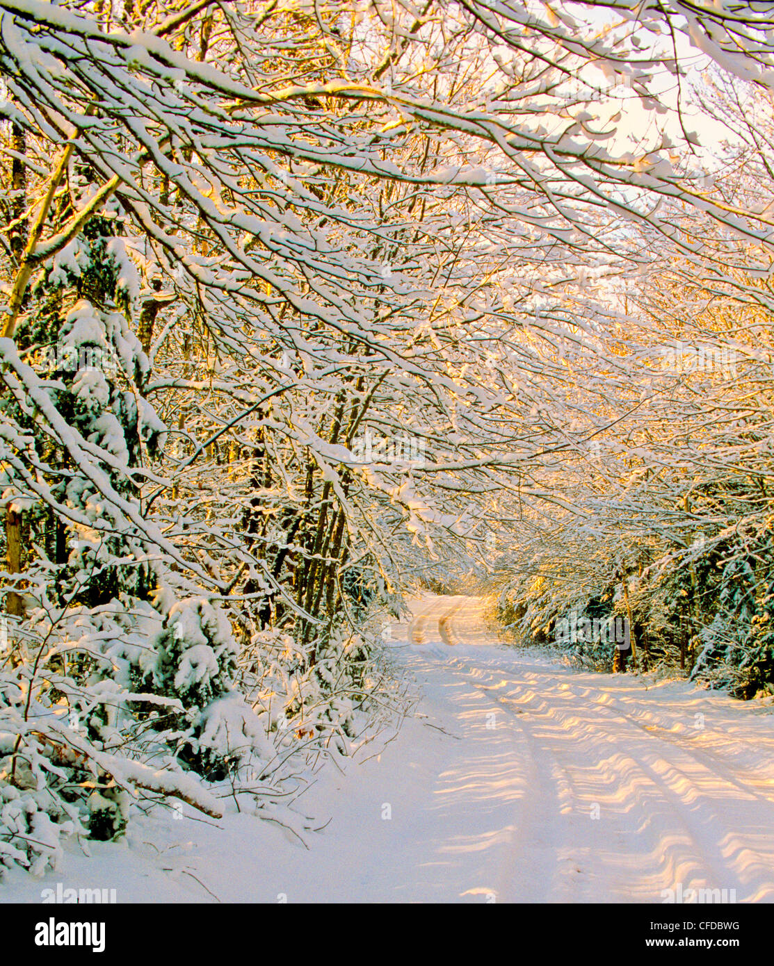 Appin Road High Resolution Stock Photography and Images - Alamy