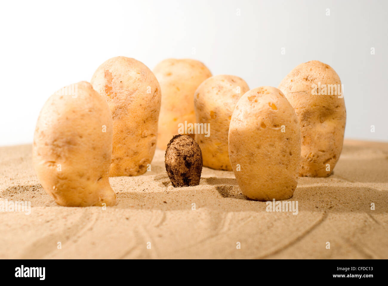 Lonely potato hi-res stock photography and images - Alamy
