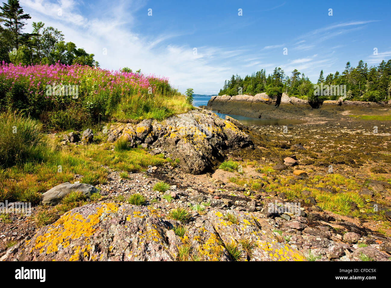 Blacks Harbour, Bay of Fundy, New Brunswick, Canada Stock Photo - Alamy