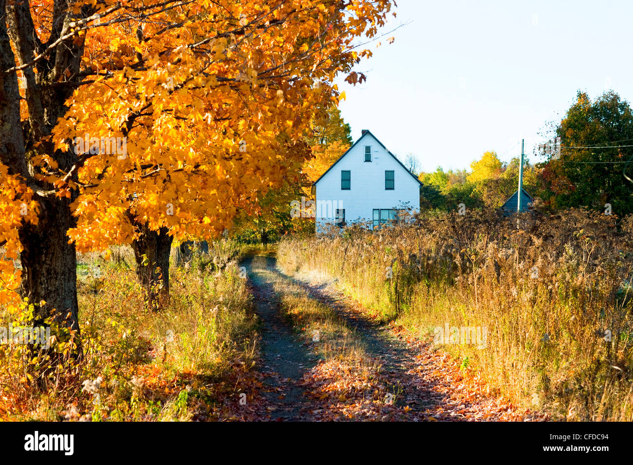 New Brunswick Fall Foliage River High Resolution Stock Photography and ...