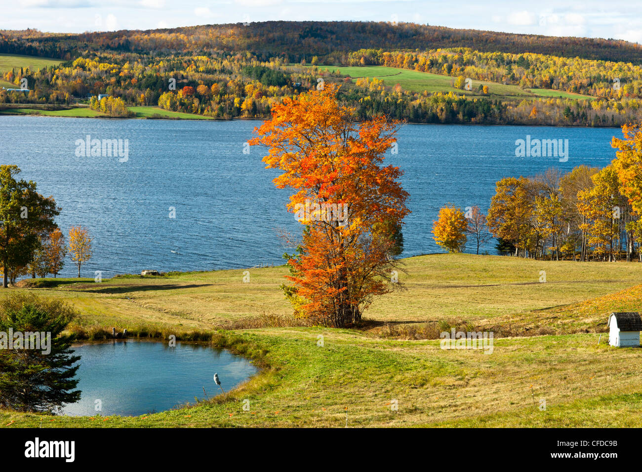 Saint John River in fall near Woodstock, New Brunswick, Canada Stock ...