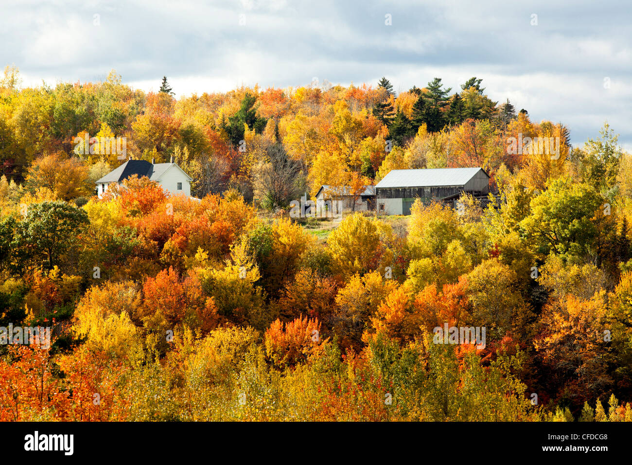 Farm house and fall foliage, Jemseg, New Brunswick, Canada Stock Photo ...