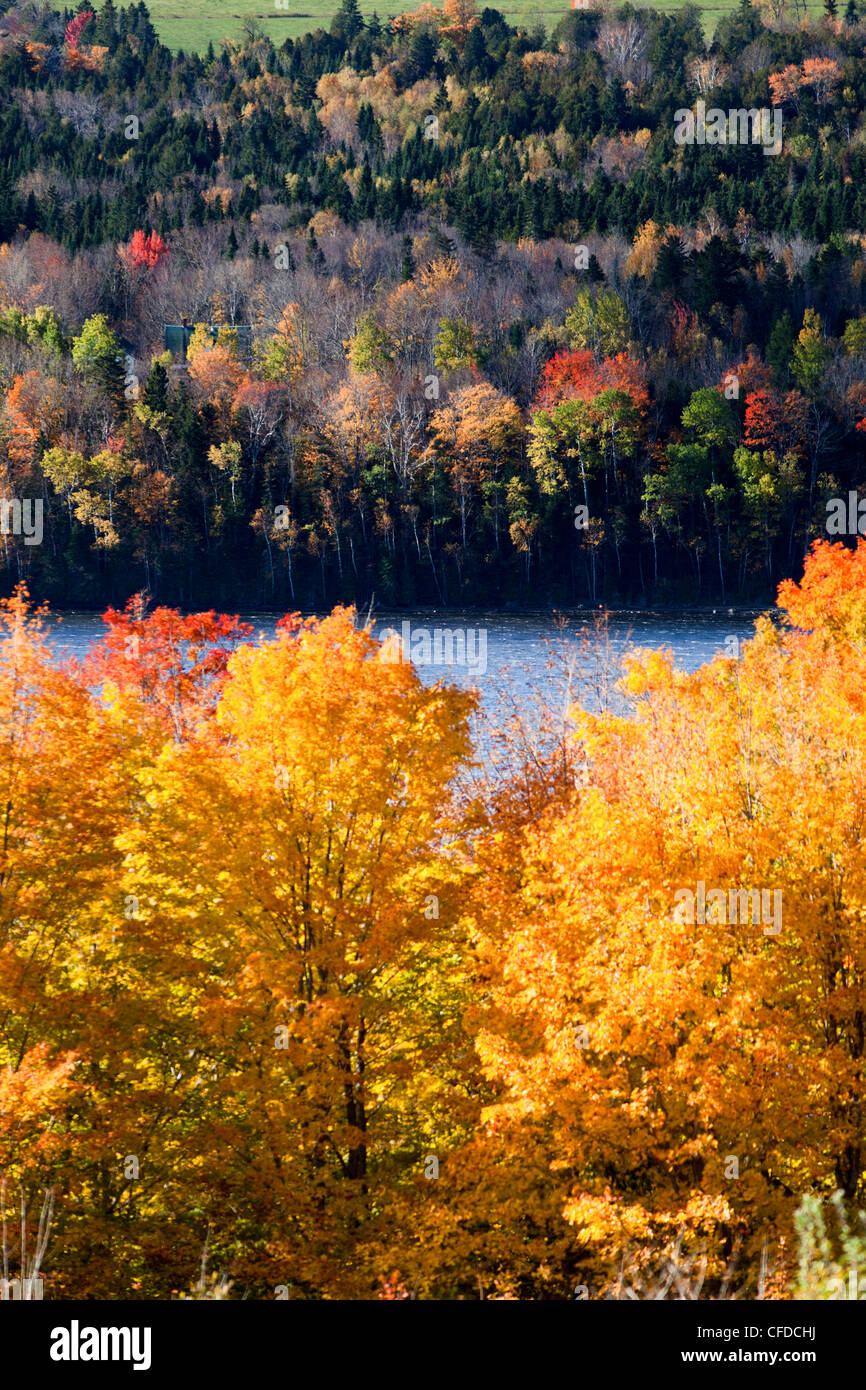 Fall foliage near Woodstock, Saint John River Valley, New Brunswick ...