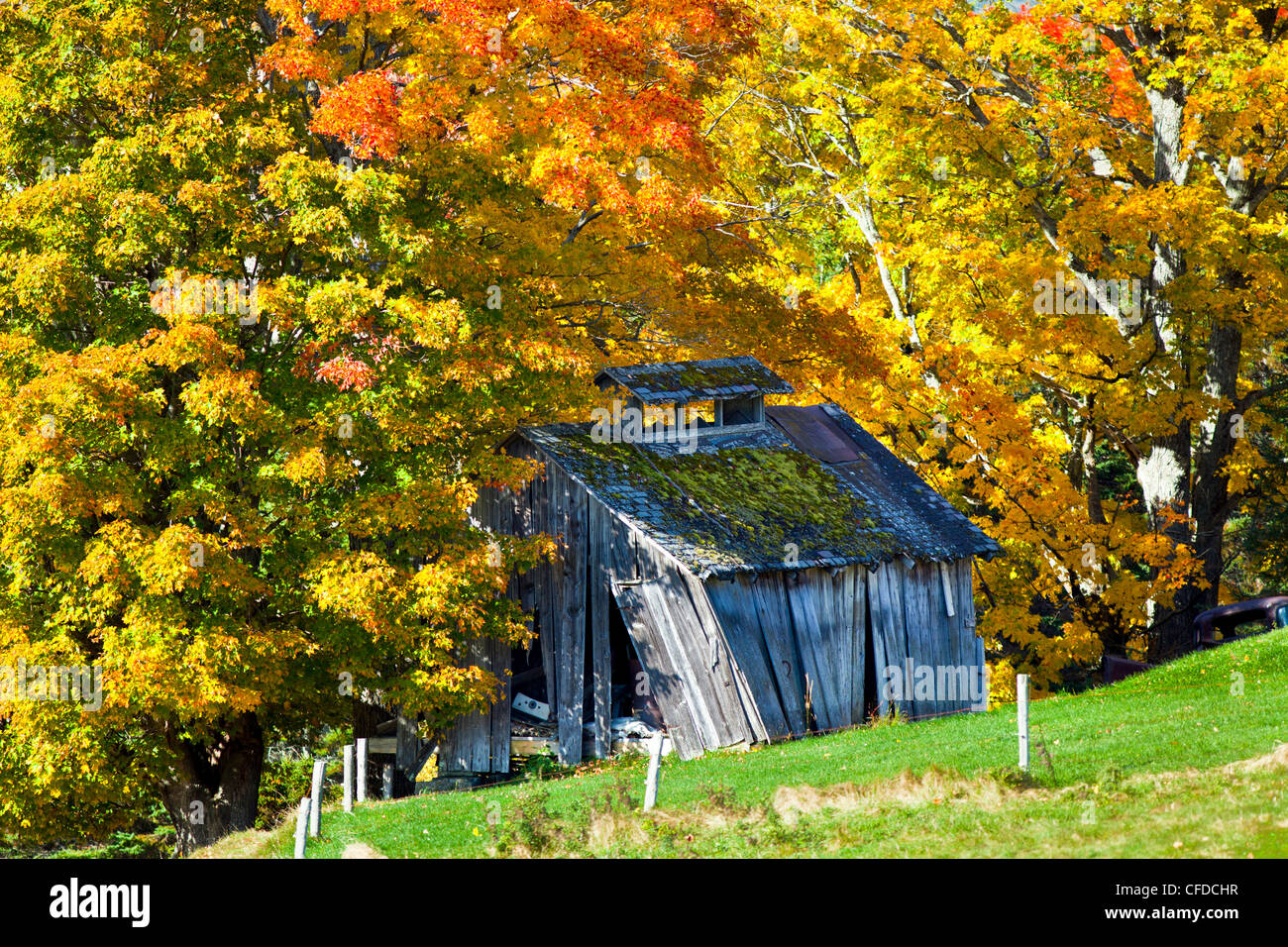 Autumn foliage st john river hi-res stock photography and images - Alamy