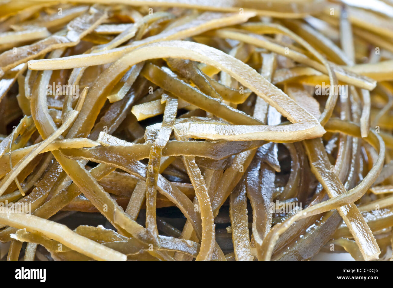 Tang Seaweed High Resolution Stock Photography and Images - Alamy