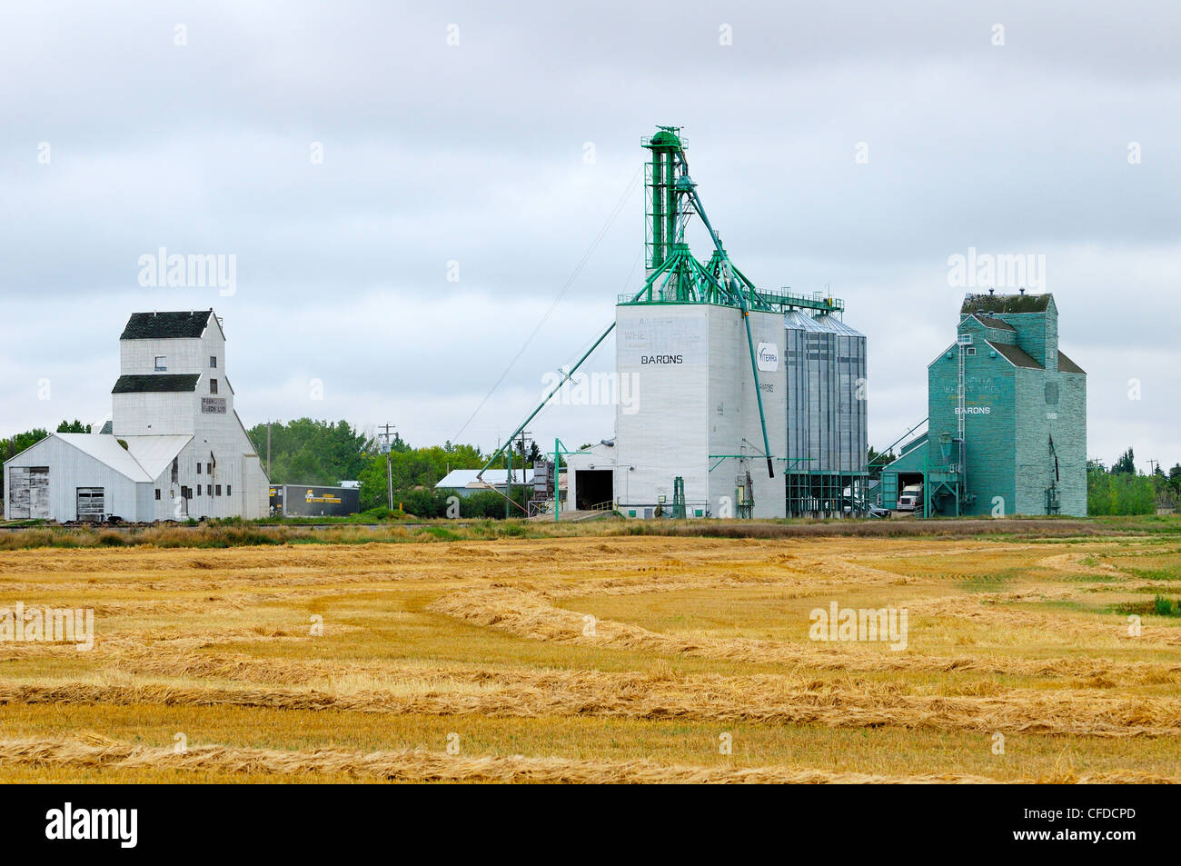 Wheat fields and grain elevators near the railway tracks in Barons, Alberta, Canada Stock Photo ...