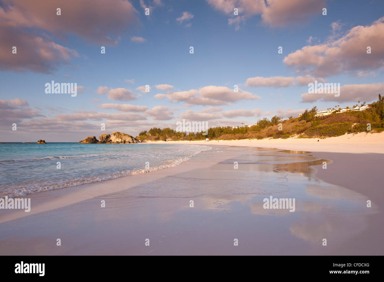Bermuda pink sand beach hi-res stock photography and images - Alamy