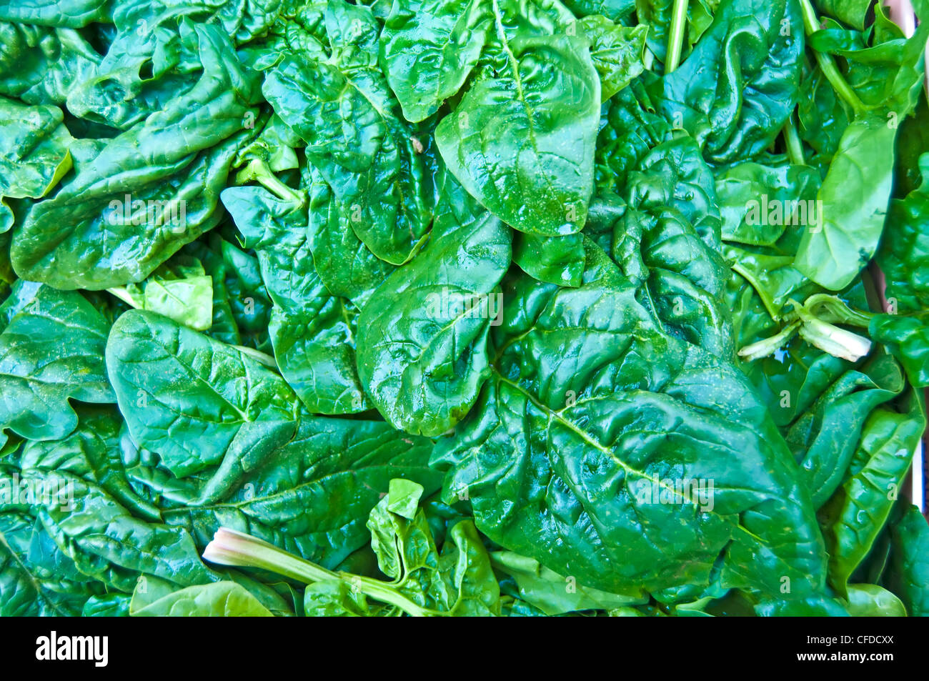 Spinach cooking hi-res stock photography and images - Alamy