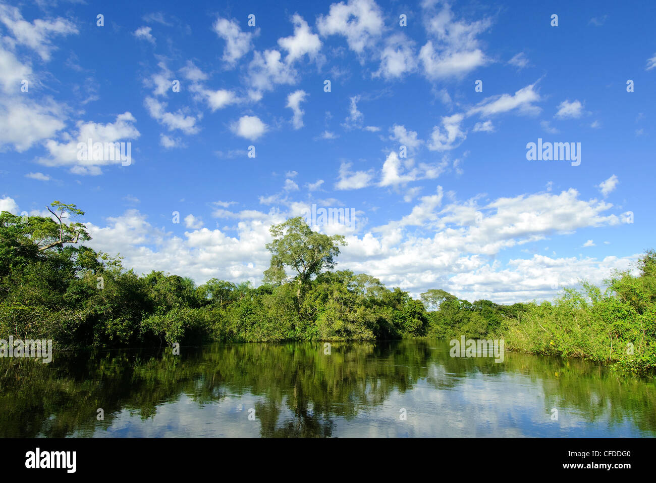 Pantanl wetlands, Southwestern Brazil, South America Stock Photo - Alamy