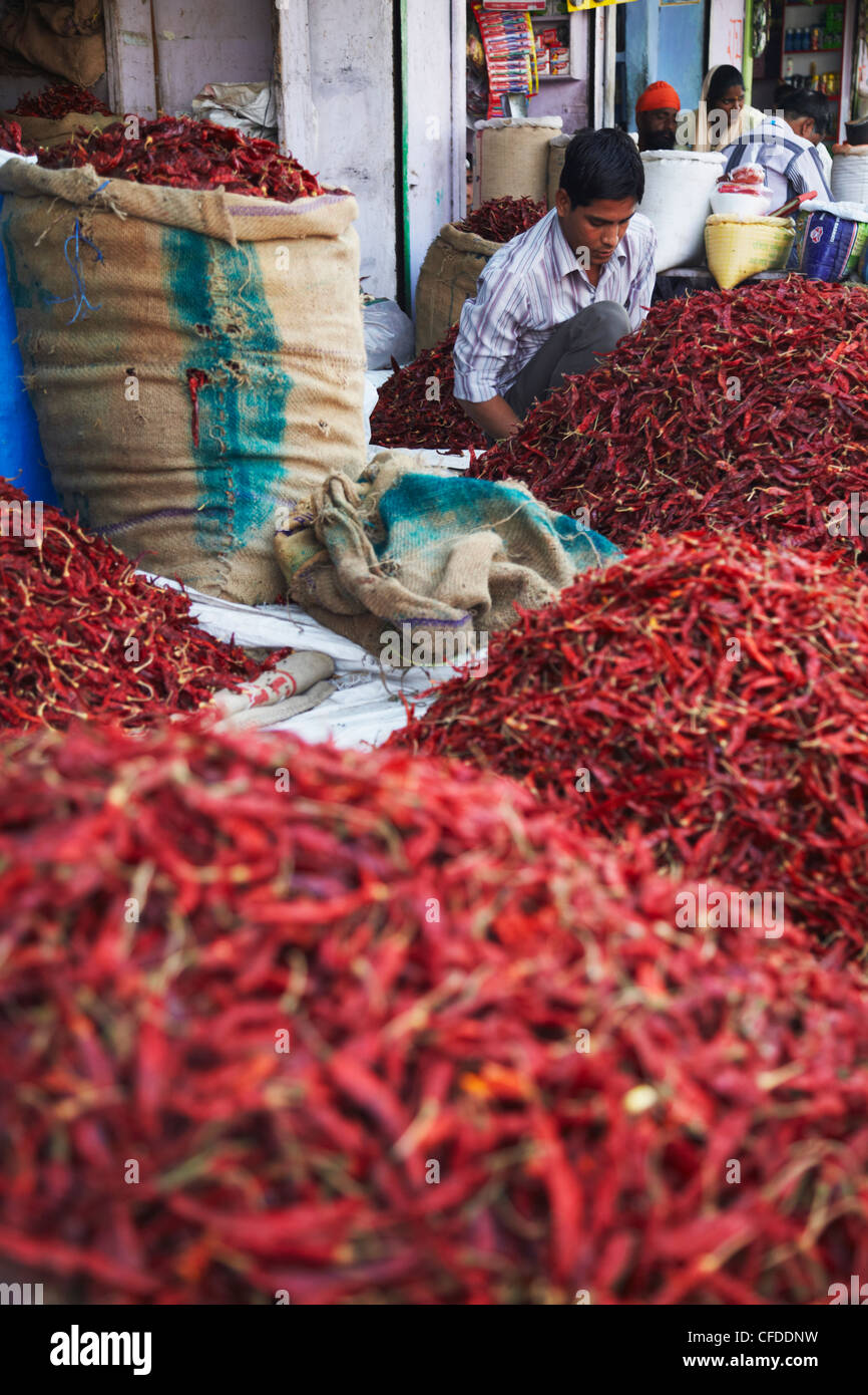 Vendor selling chillies at market, Bundi, Rajasthan, India, Asia Stock ...