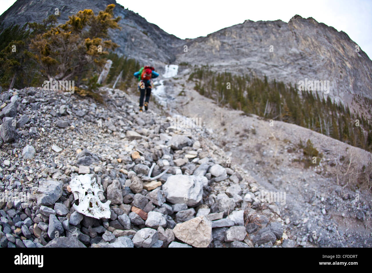 Approaching someone hi-res stock photography and images - Alamy