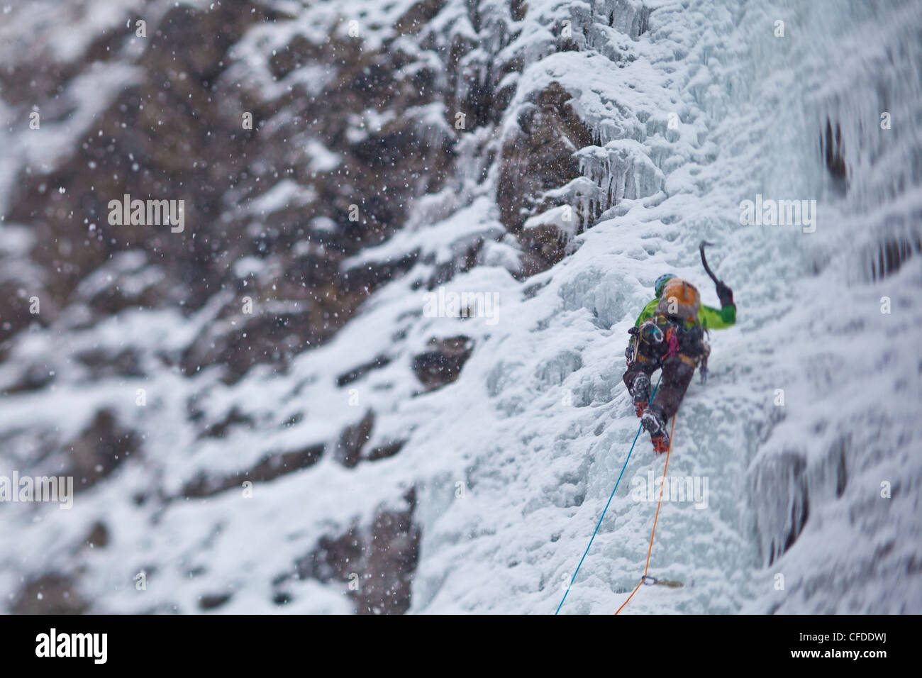 A strong female climber ice climbs Moonlight WI4, Even Thomas Creek ...