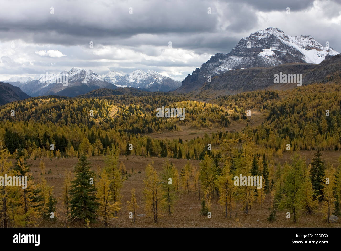 Trail to Titcomb Basin, Wind River Range, Wyoming, United States of ...