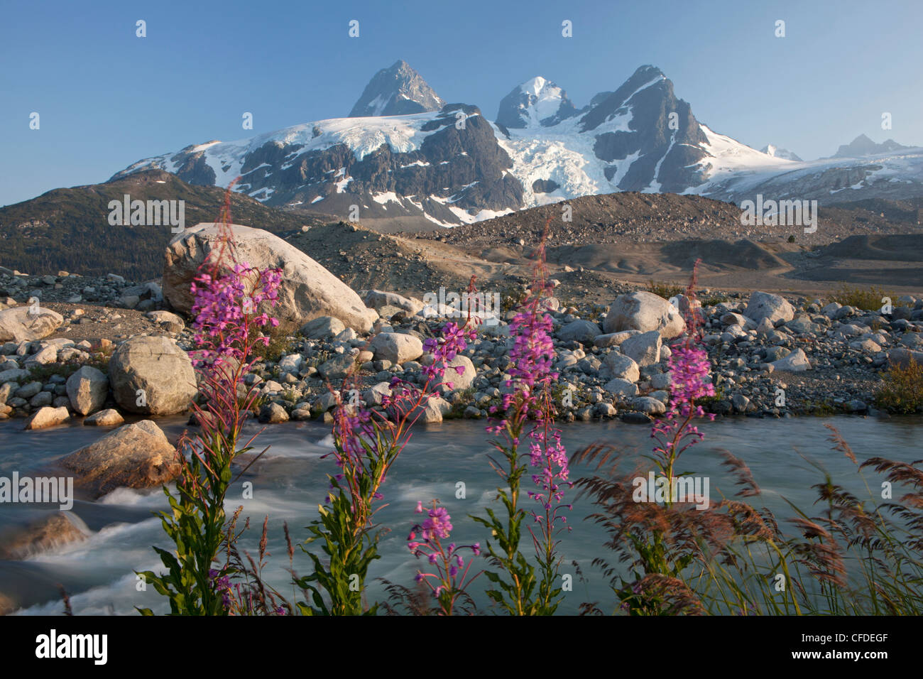 Trail to Titcomb Basin, Wind River Range, Wyoming, United States of ...