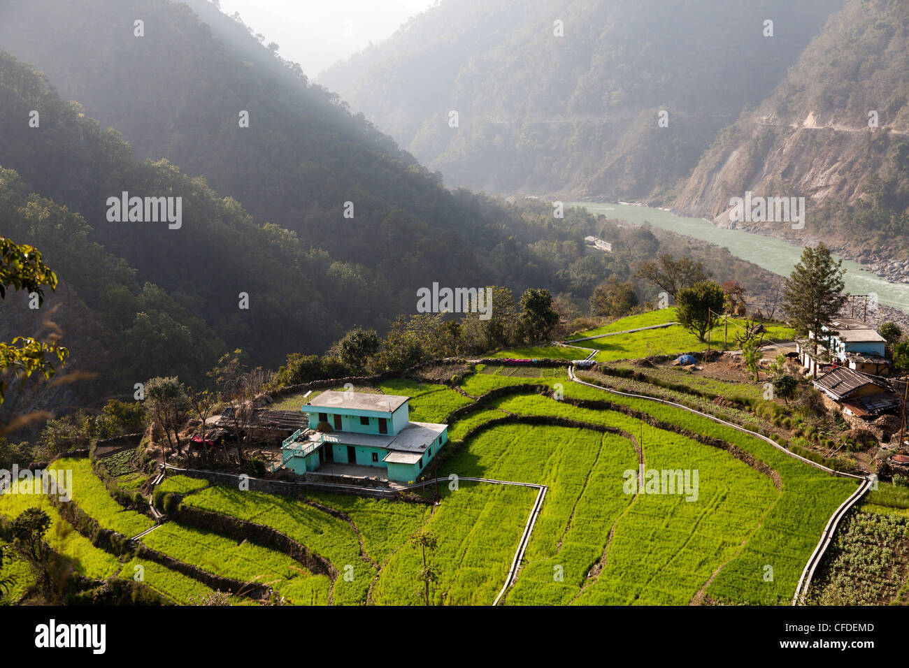 Rice farm india hi-res stock photography and images - Alamy