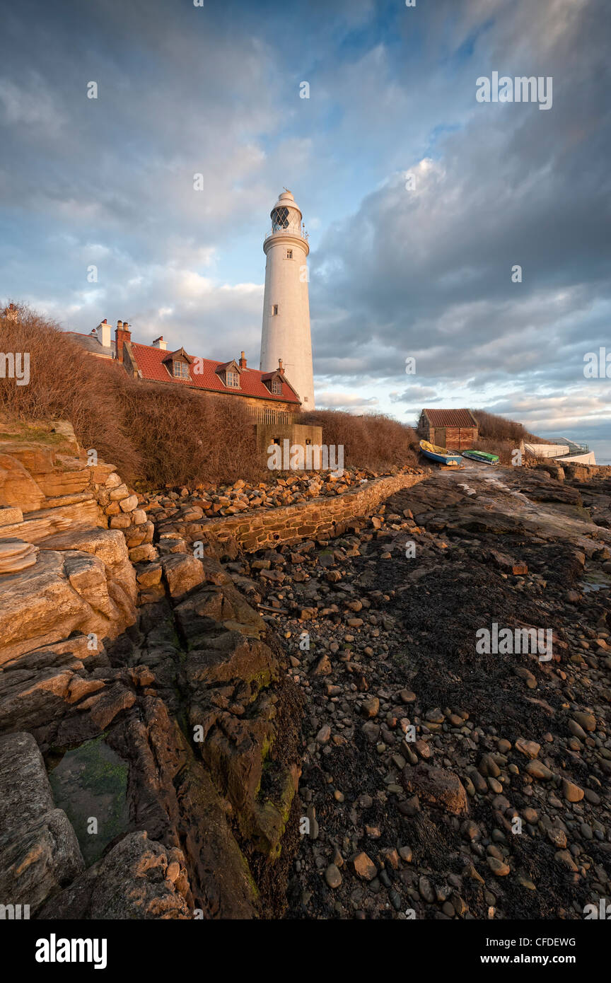 St Mary's Lighthouse Stock Photo - Alamy