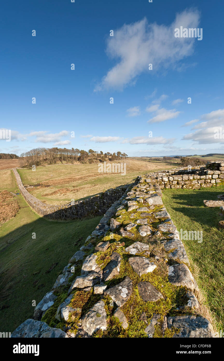 Housesteads Roman Fort Stock Photo - Alamy