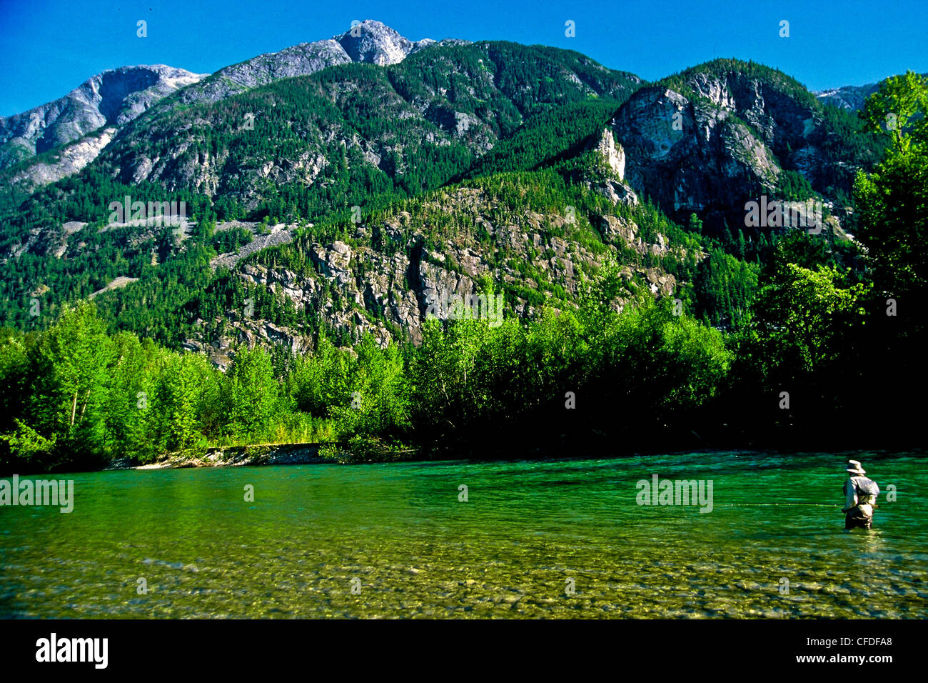 Man fly fishing, Dean River, British Columbia, Canada Stock Photo - Alamy