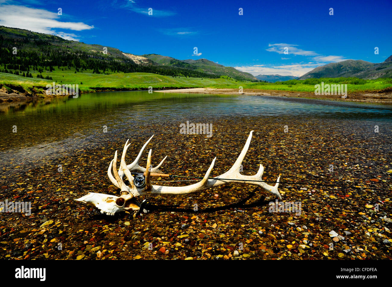 Bank activities hi-res stock photography and images - Alamy