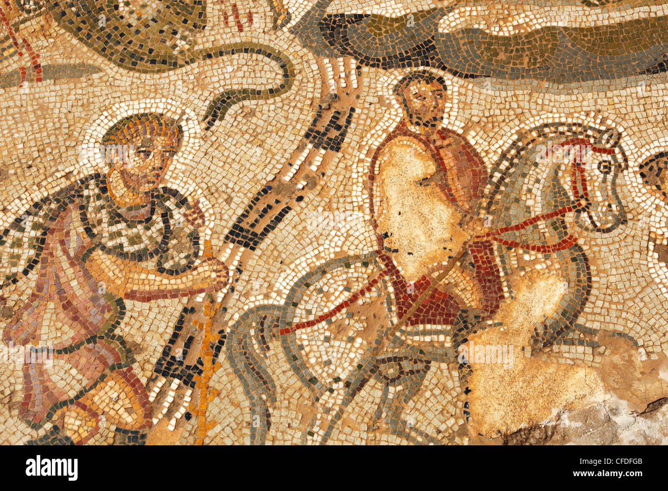 Part of the Amphitrite Roman mosaic,,of Amphitrite, Bulla Regia ...