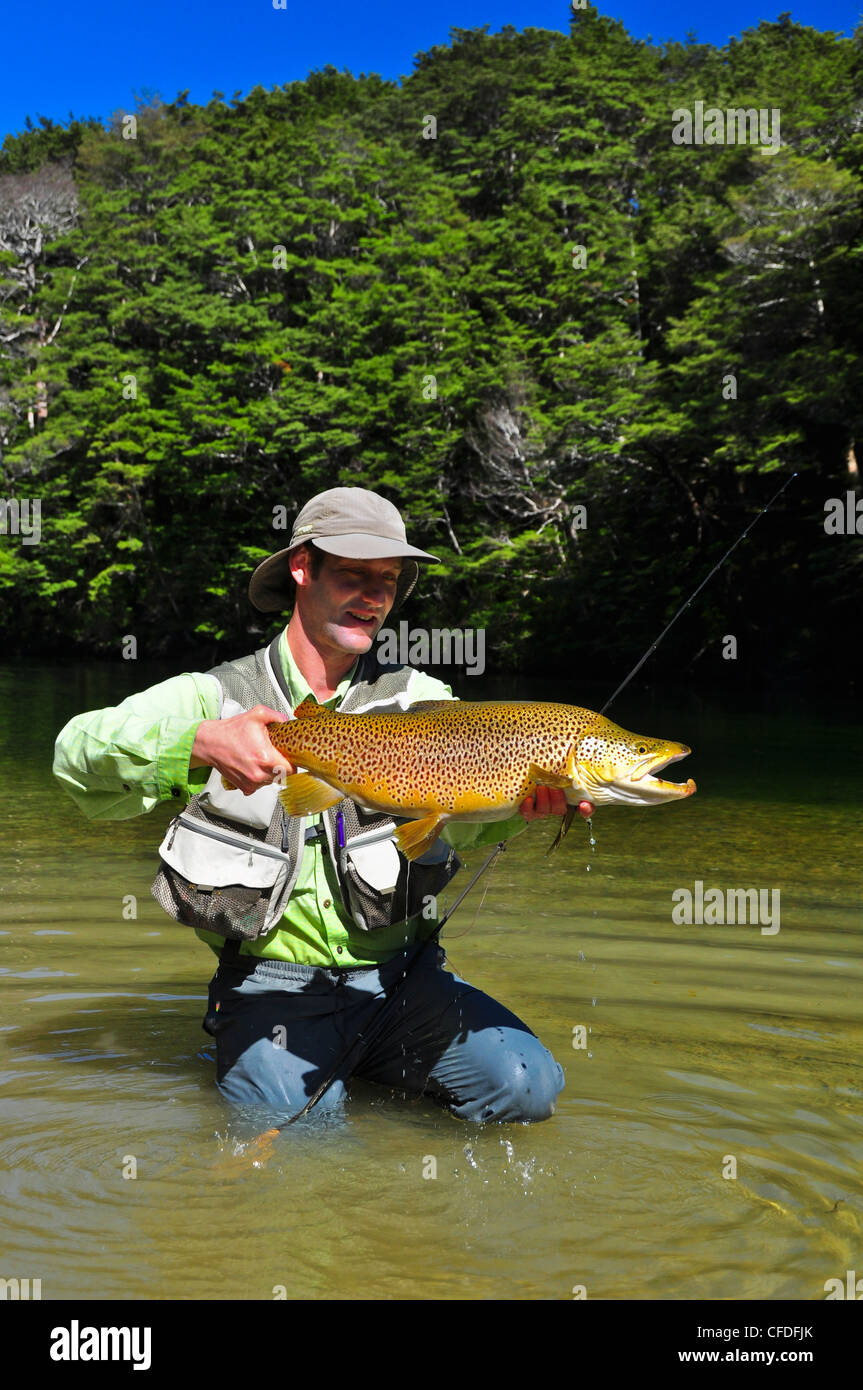 Man holding brown trout, South Island, New Zealand Stock Photo - Alamy