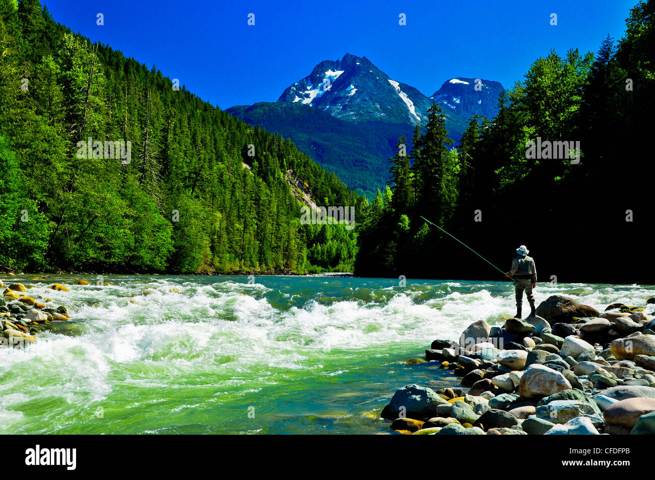 Man fly fishing, Dean River, British Columbia, Canada Stock Photo - Alamy