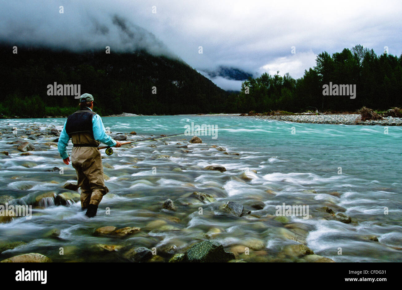 Man fly fishing, Dean River, British Columbia, Canada0 Stock Photo - Alamy