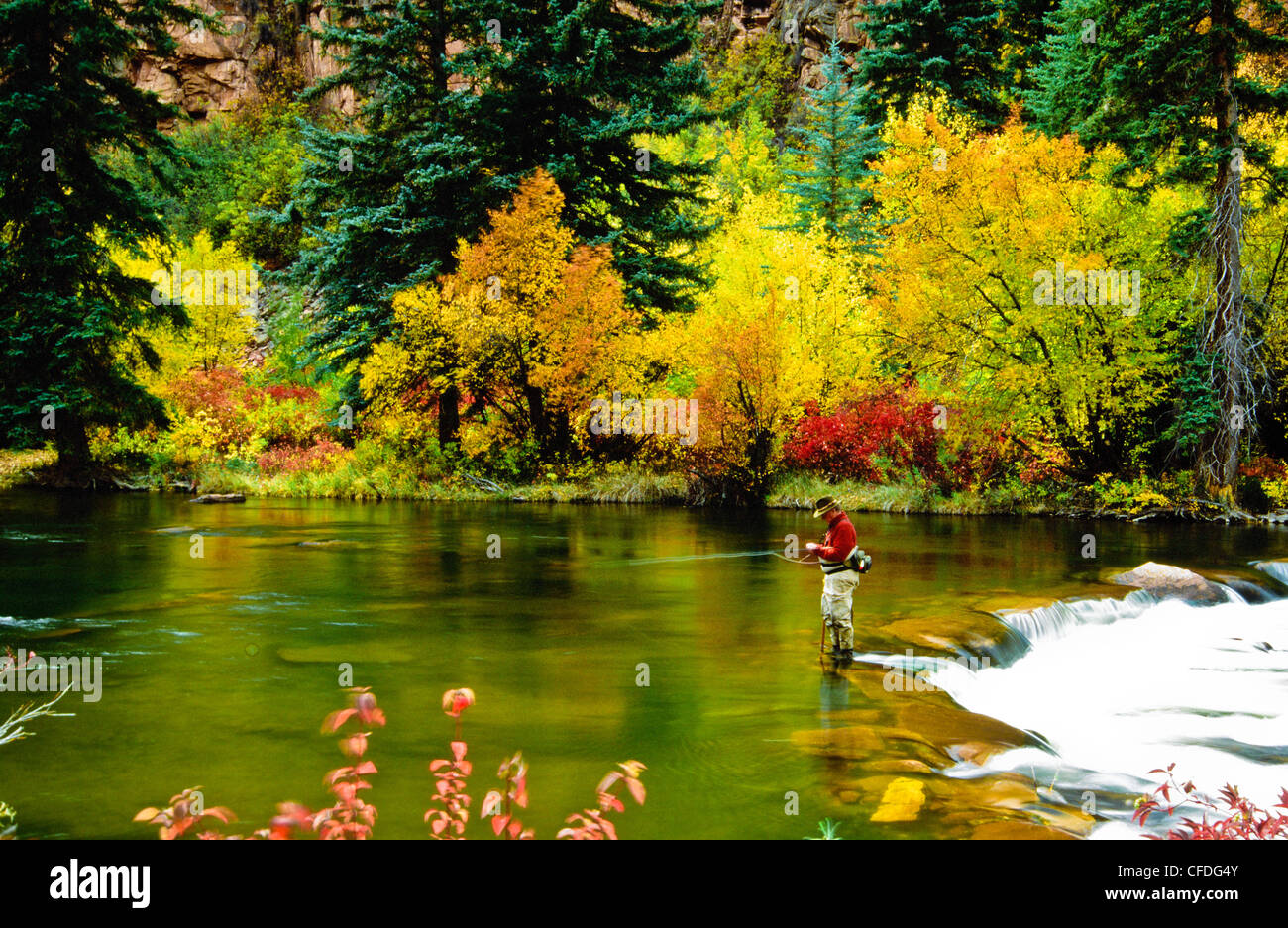 Man fly fishing, Fryingpan River, Colorado, United States of America ...