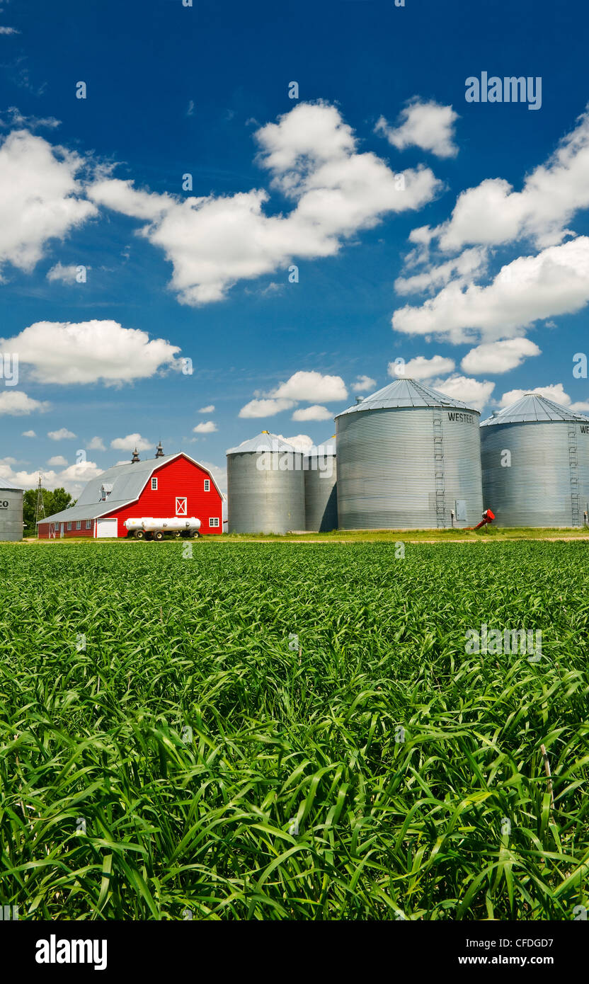 Durum silos building hi-res stock photography and images - Alamy