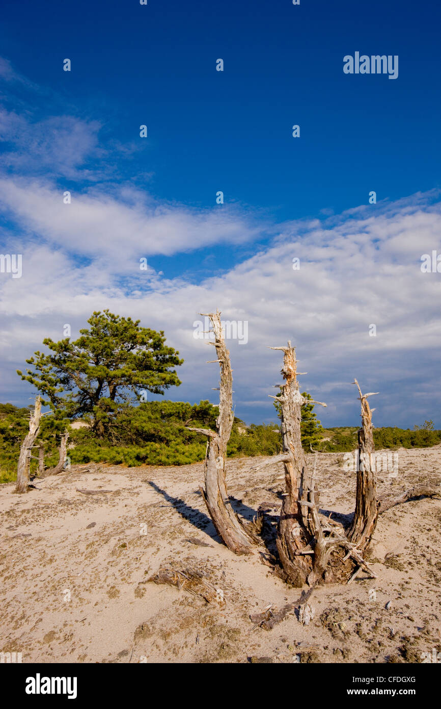 Cape cod gray hi-res stock photography and images - Alamy