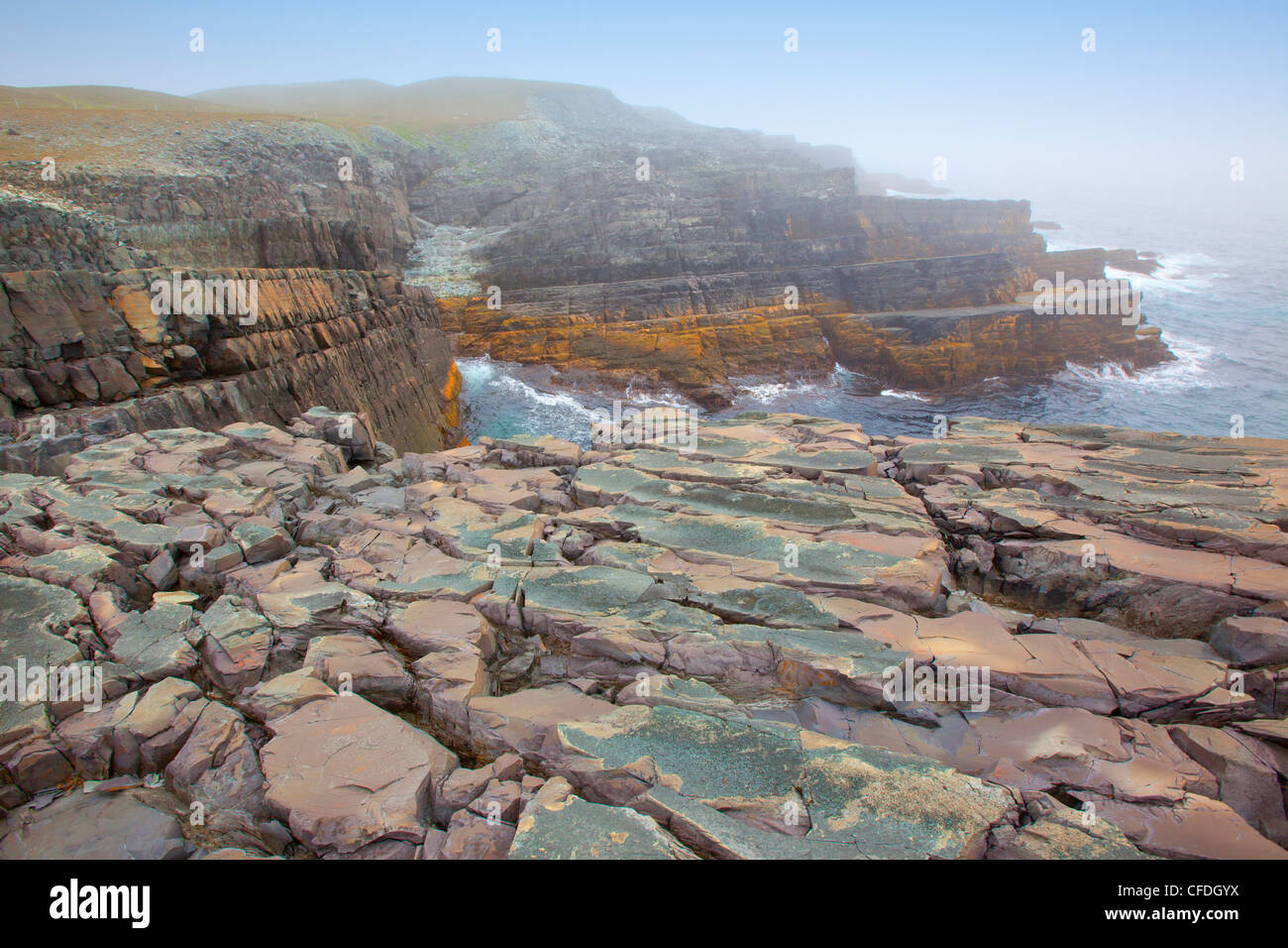 Fossils, Mistaken Point Ecological Reserve, Avalon Peninsula ...