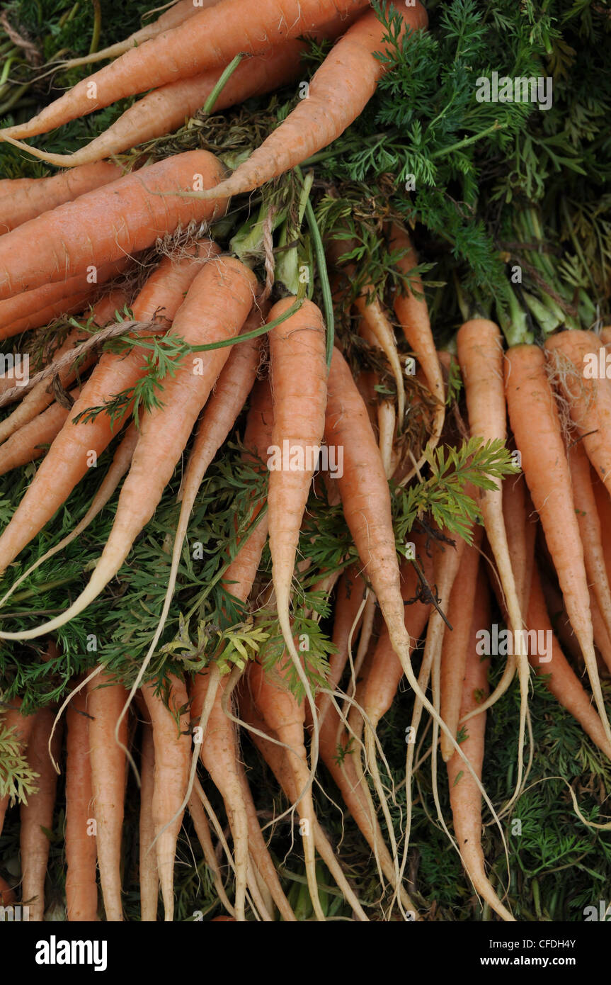 Organic carrots hi-res stock photography and images - Alamy