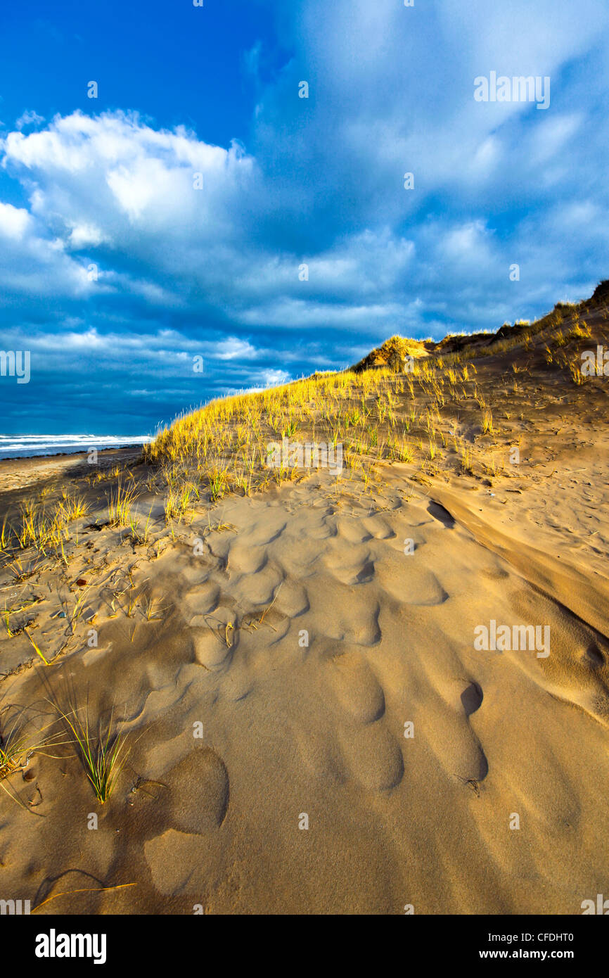 Sand Dune, Cavendish Beach, Prince Edward Island National Park, Prince ...
