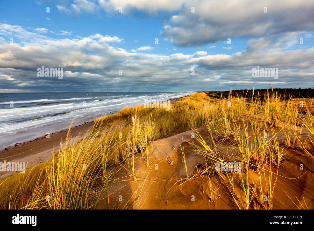 Sand Dune, Cavendish Beach, Prince Edward Island National Park, Prince ...