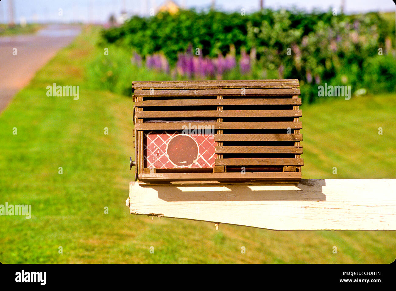 P trap hi-res stock photography and images - Alamy