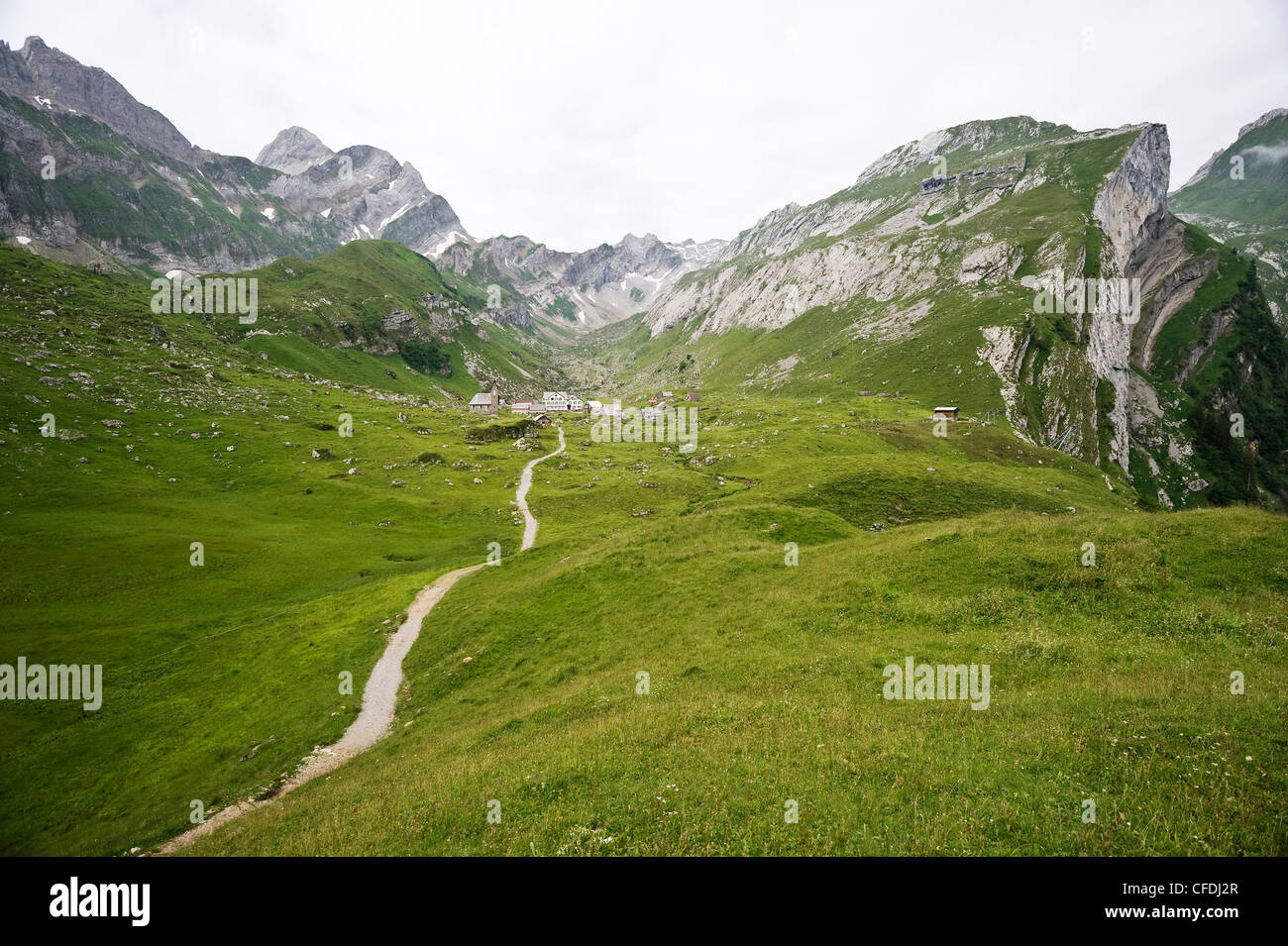 Alpine meadow at Meglisalp, Alpsteingebirge, Saentis, Appenzeller Land ...