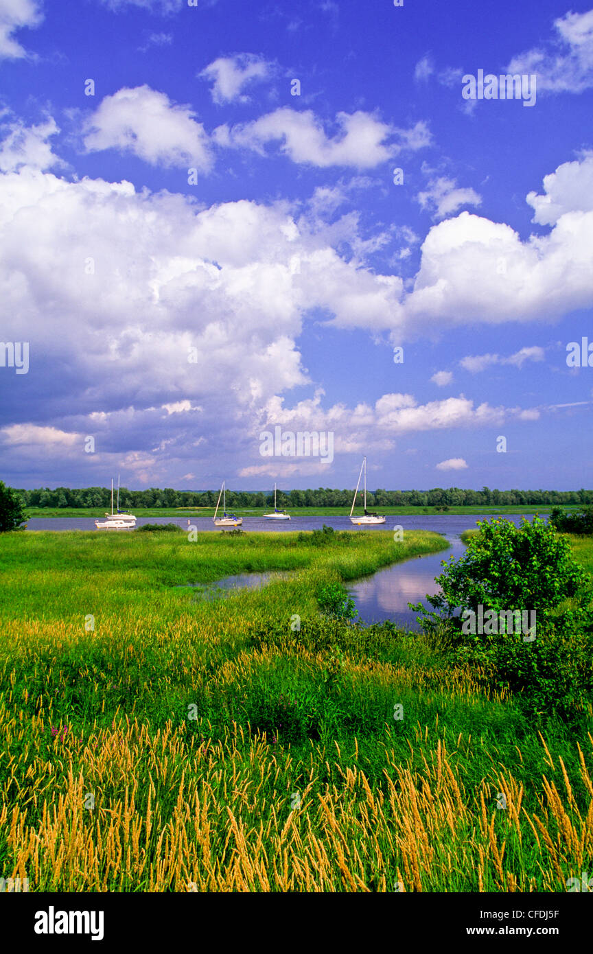 Gagetown new brunswick hi-res stock photography and images - Alamy