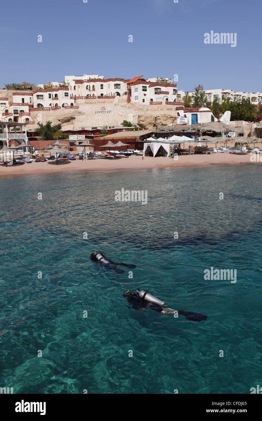 Scuba divers enjoy the clear Red Sea waters at Sharks Bay, Sharm el ...