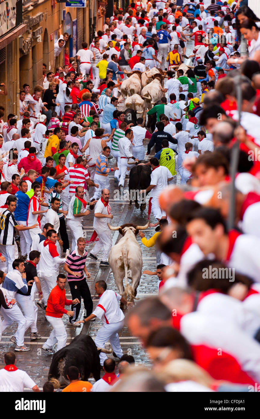 Running of the bulls, San Fermin festival, Pamplona, Navarra (Navarre ...