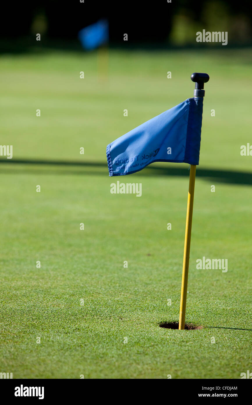 Stick flag hi-res stock photography and images - Alamy