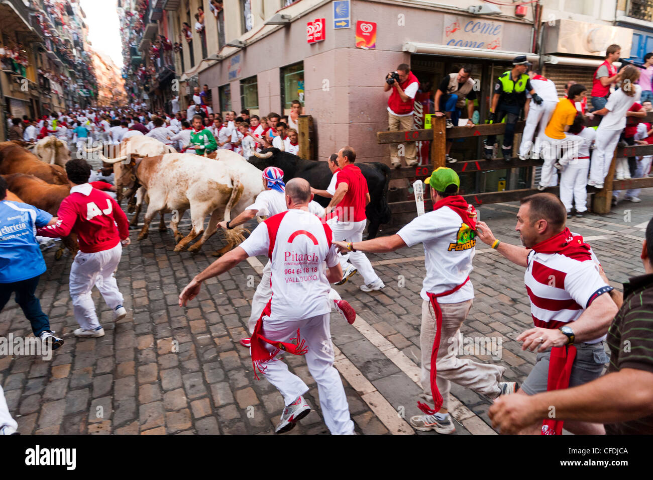 Seventh Encierro (running of the bulls), San Fermin festival, Pamplona ...