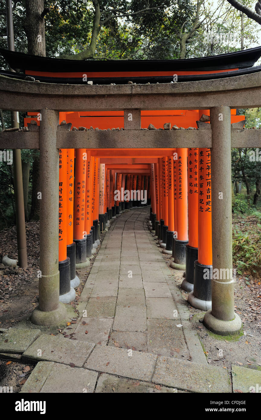 torii gates at Fushimi Inari Shrine, Kyoto, Japan Stock Photo - Alamy