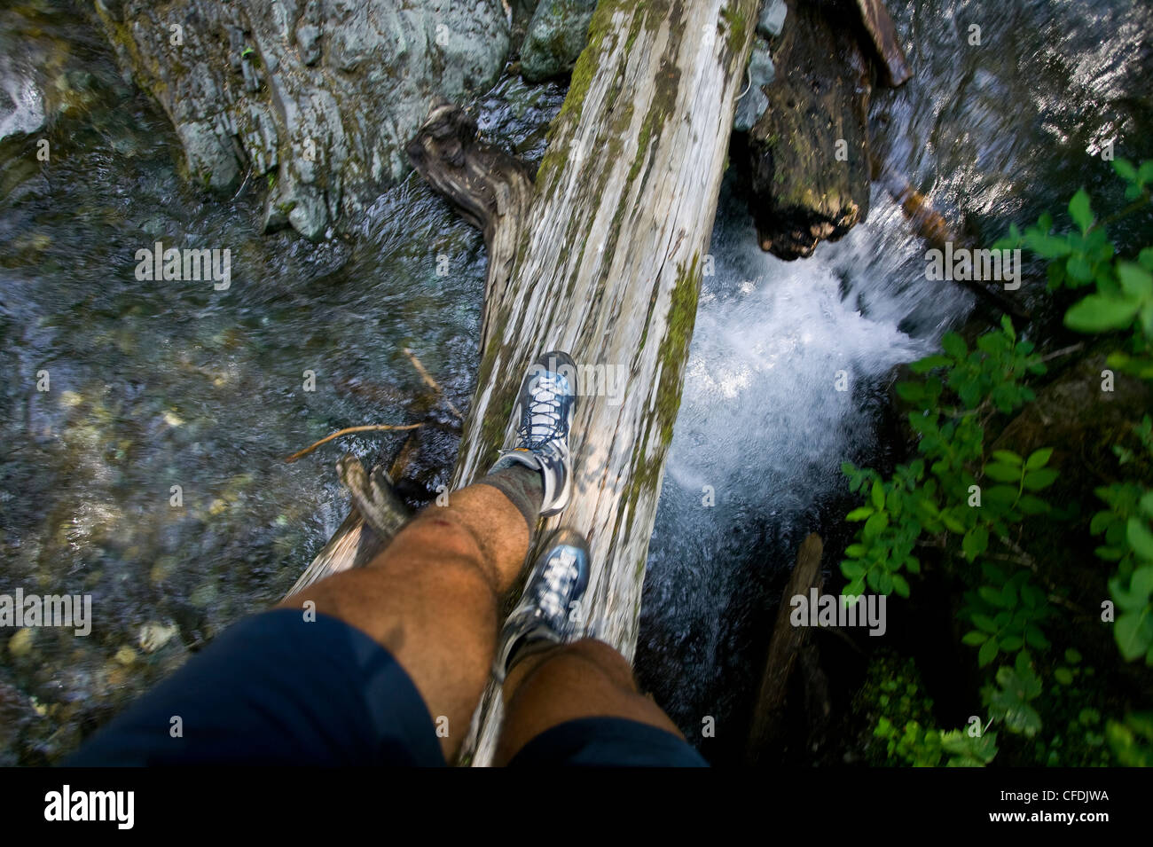 Walking across narrow log bridge hiking towards Stock Photo - Alamy