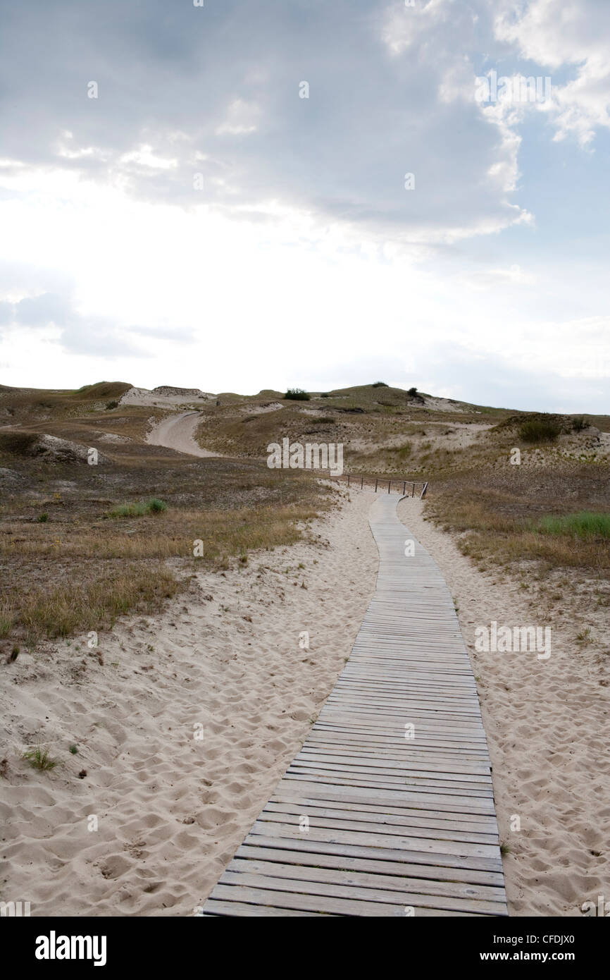 Pathway on beach hi-res stock photography and images - Alamy
