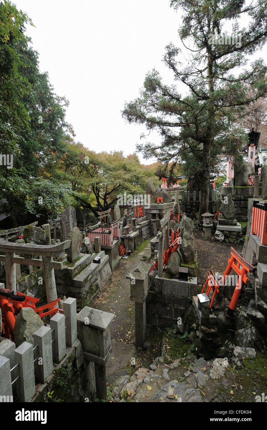 torii gates and small shrines at the peak of Mount Inari, Fushimi Inari ...